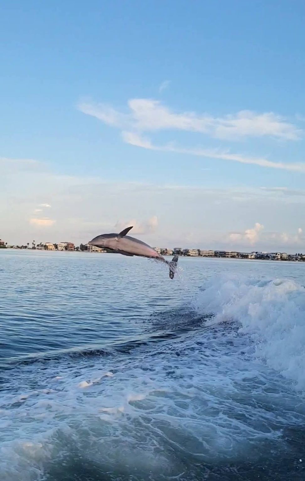 Sarasota, Lido Key & Longboat Key: Best Attractions and Activities ...